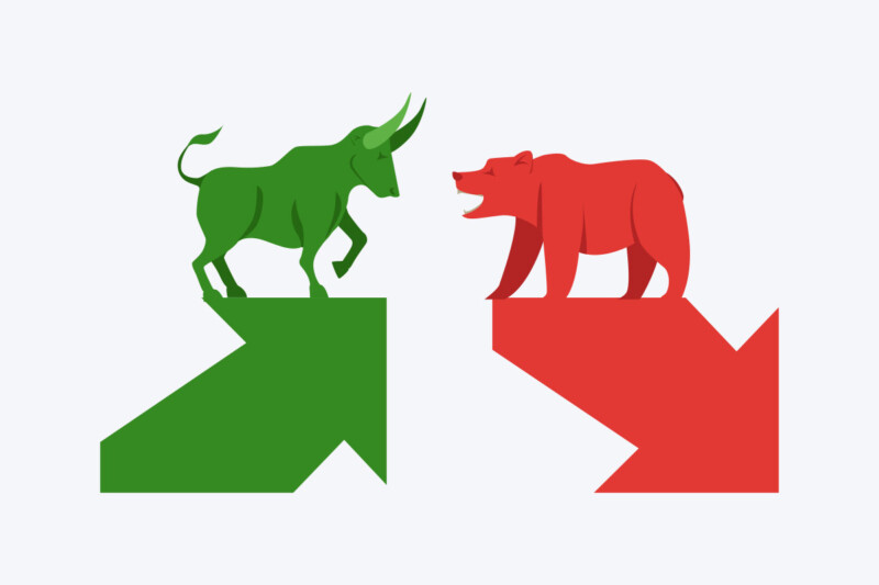 Picture It: The Bull vs. Bear Debate – Impact Capital, LLC